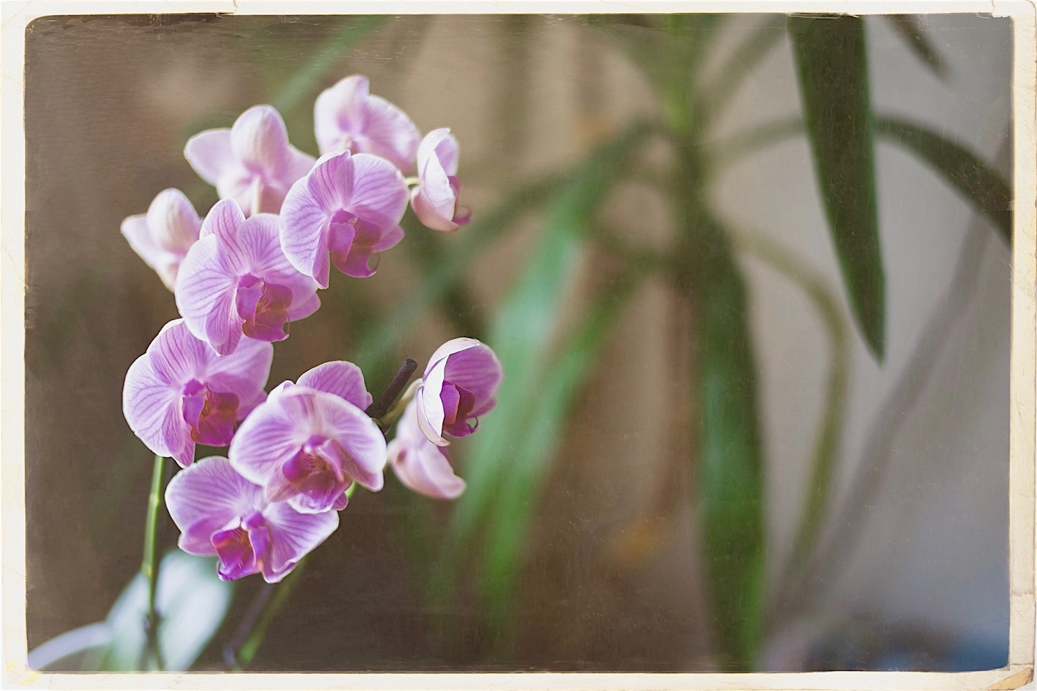 Super Borders for Photos