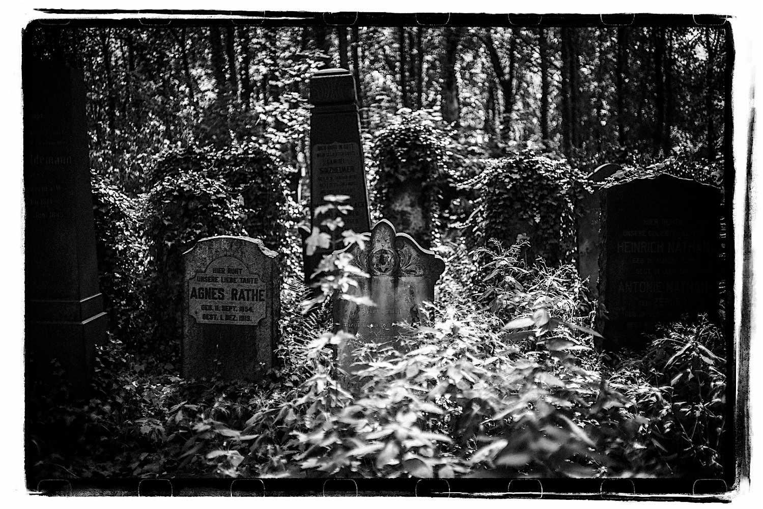 Super Borders for Photos